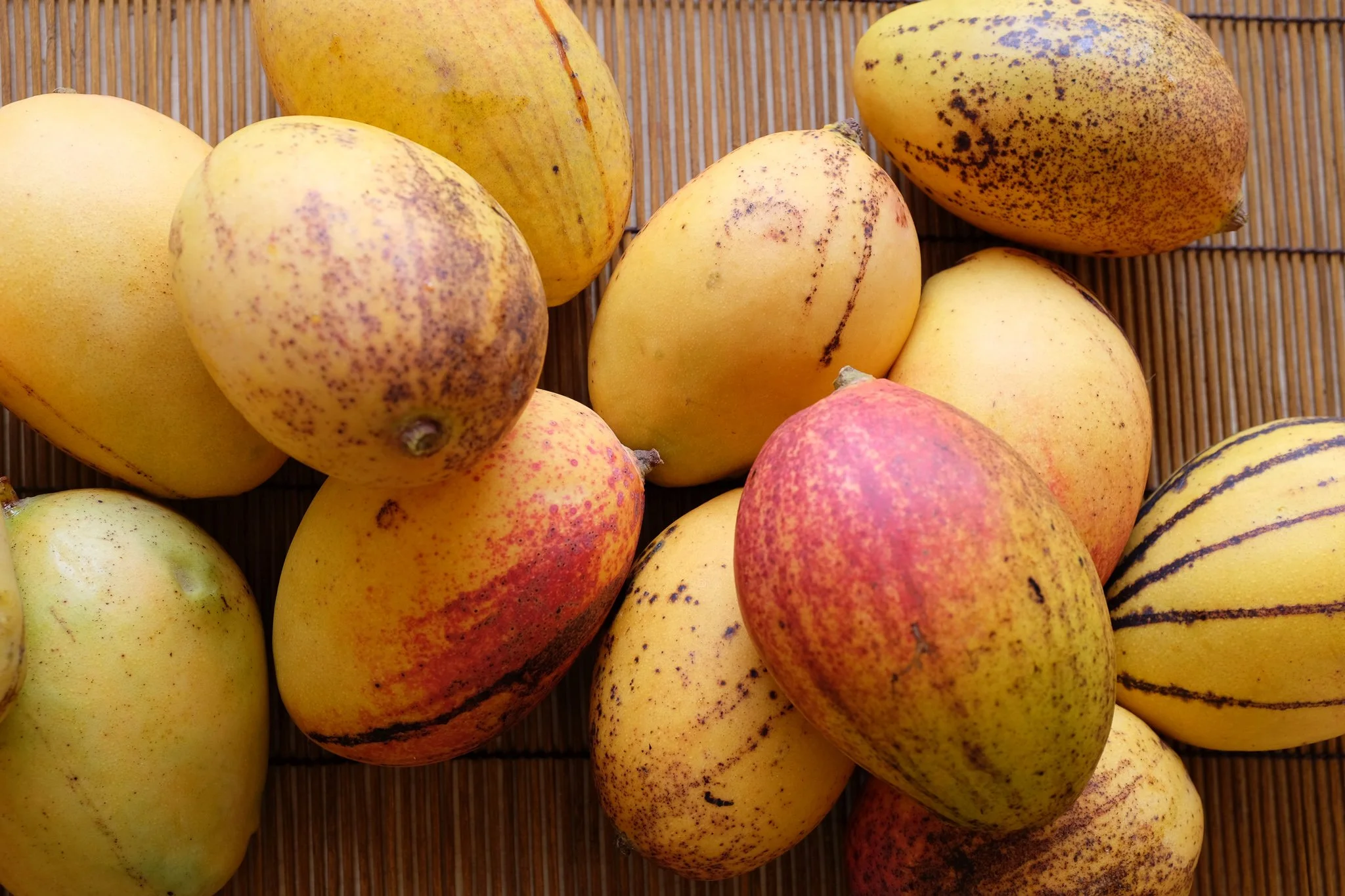 Shop — The Mango Place