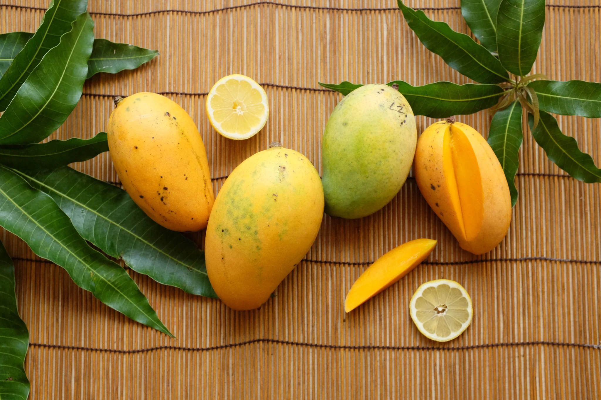 Shop — The Mango Place
