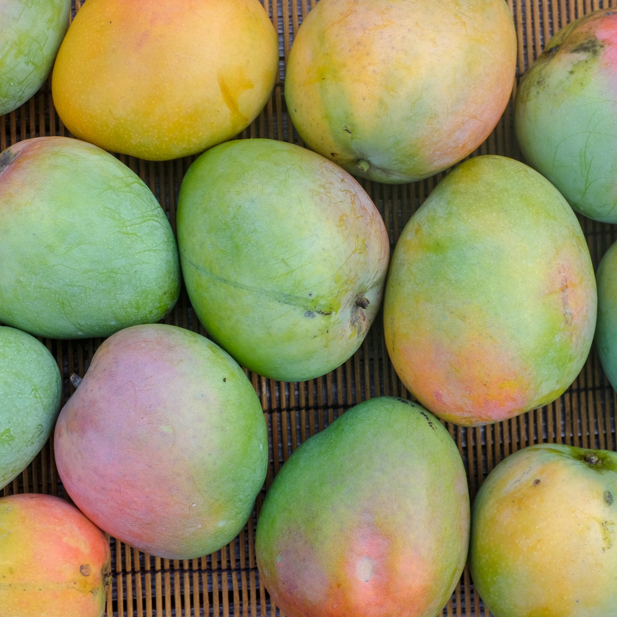 Shop — The Mango Place