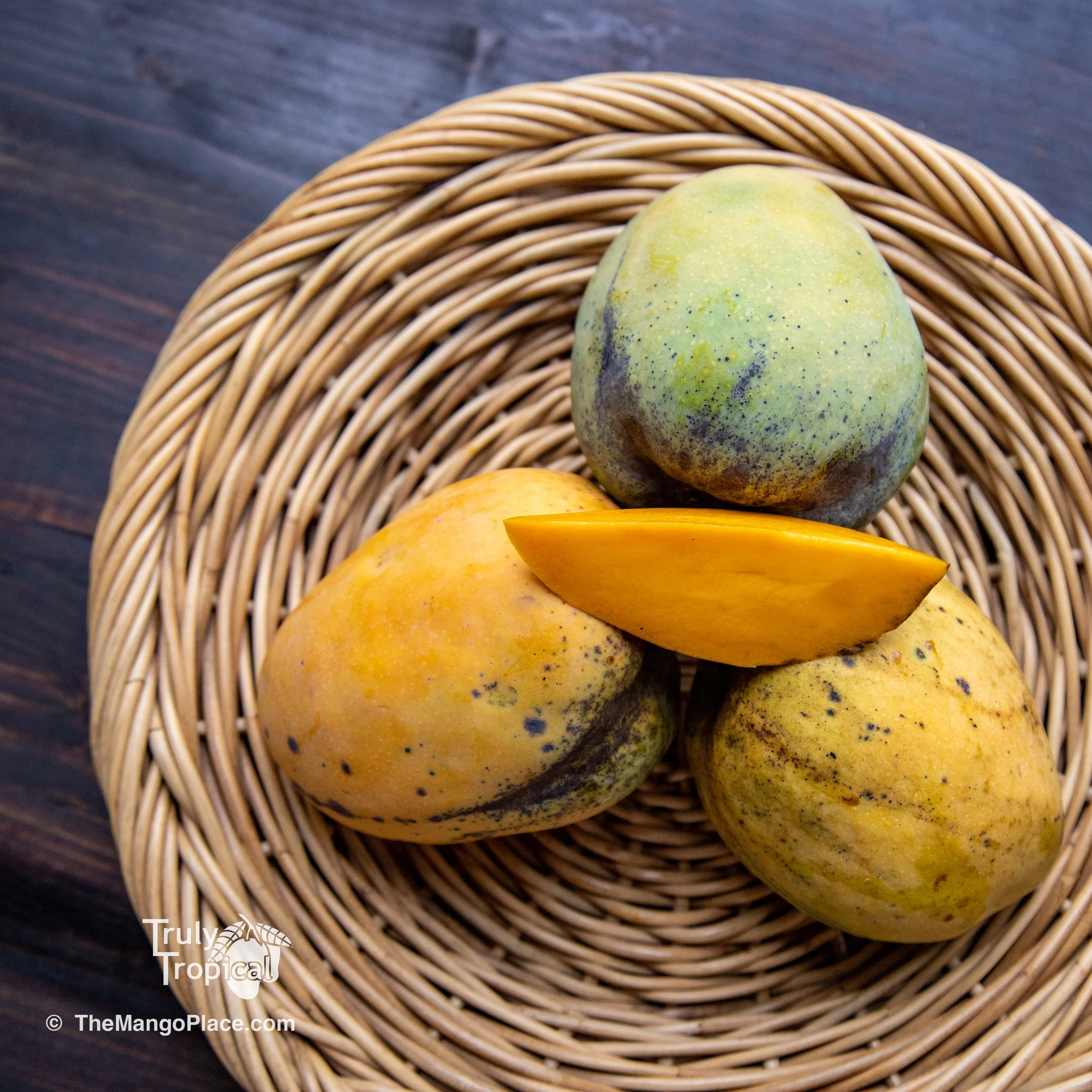 Shop — The Mango Place