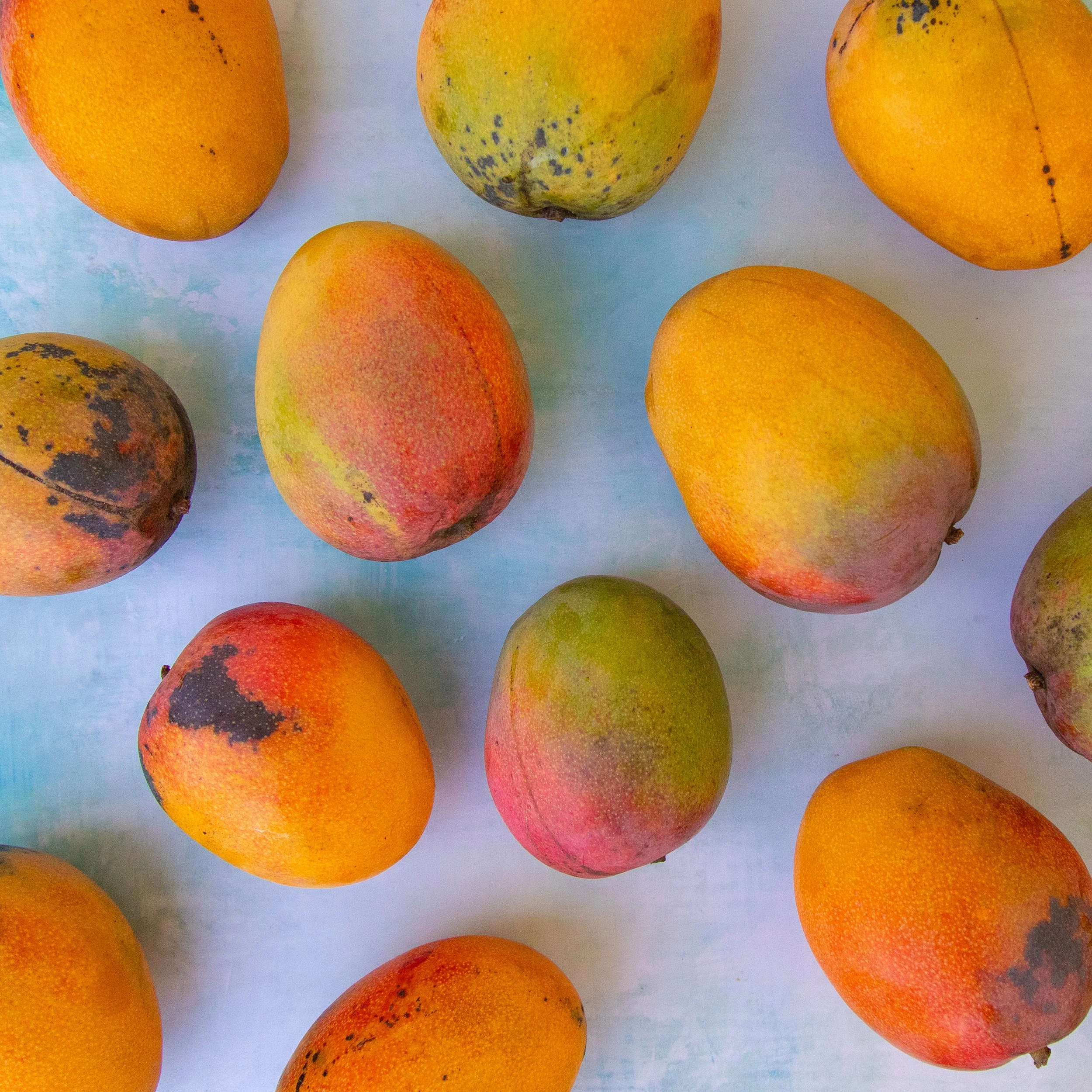 Shop — The Mango Place