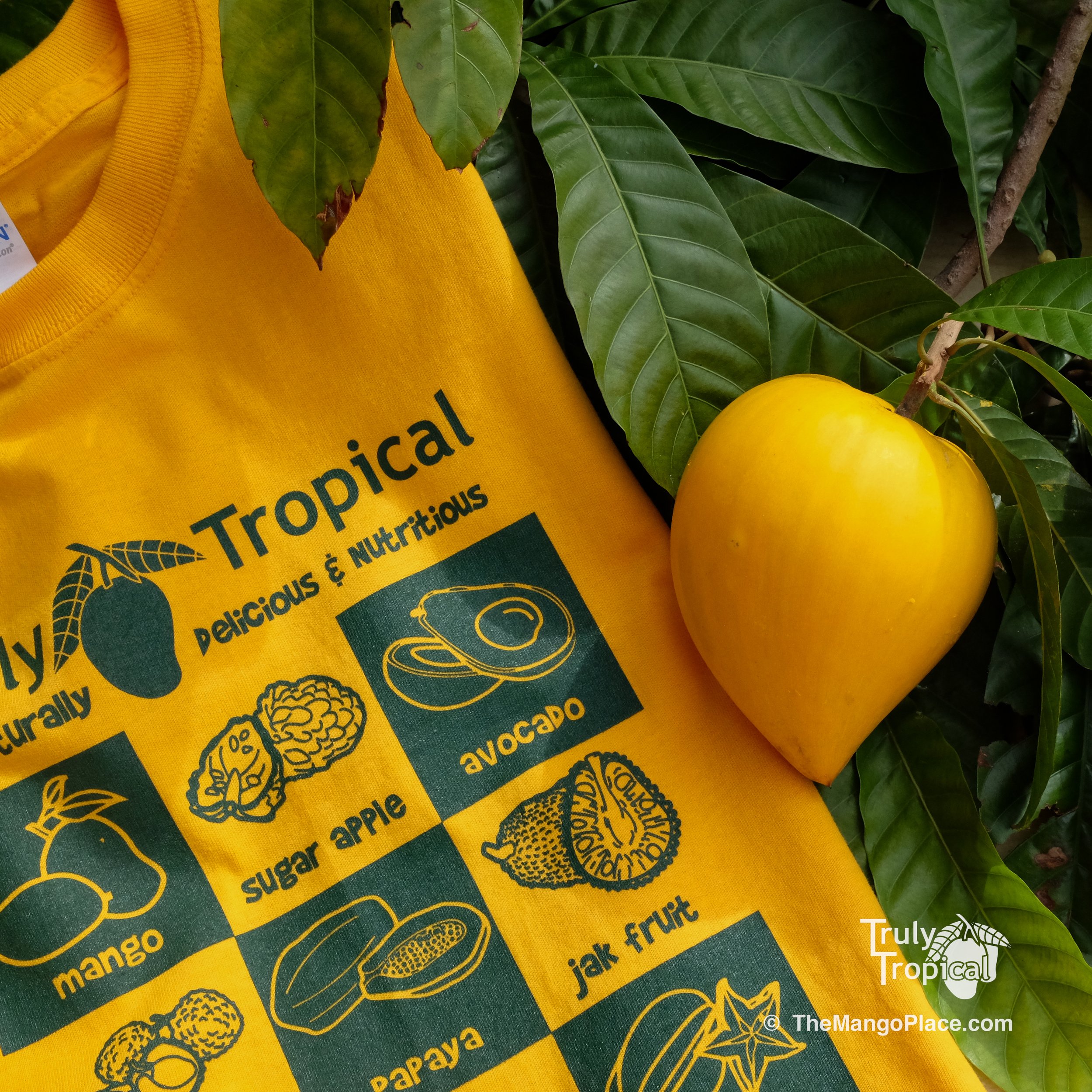 Shop — The Mango Place