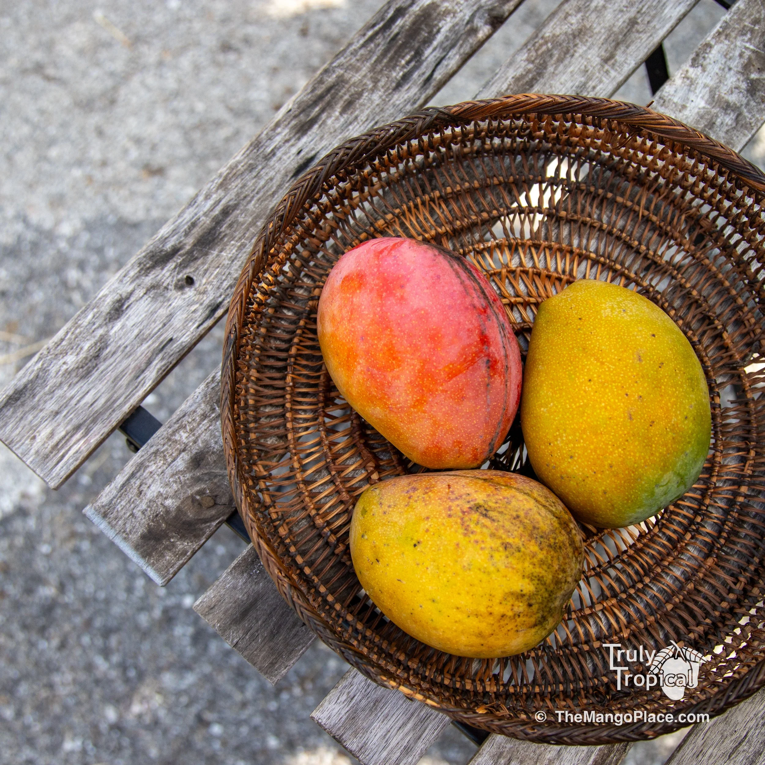'O-15' Mangos for for Pick Up Saturday, May 30, 2026 — The Mango Place