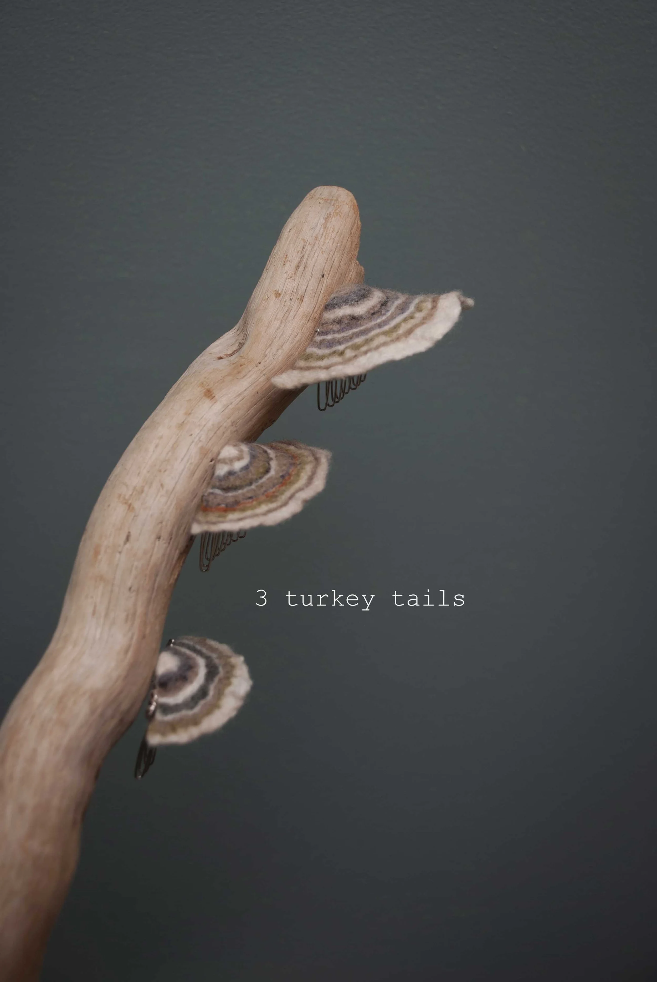 SHOP — Lalabug Designs