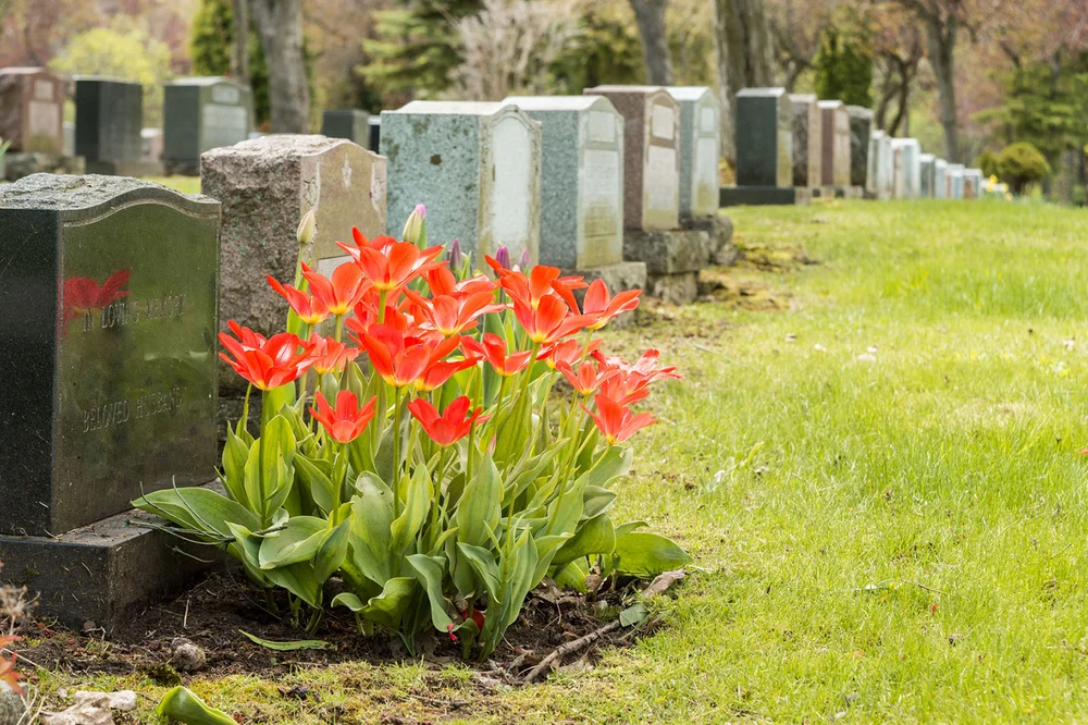 GRAVESITE BEAUTIFICATION — Serene & Green