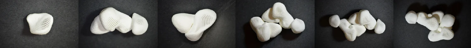 Polyomino — Plethora Project