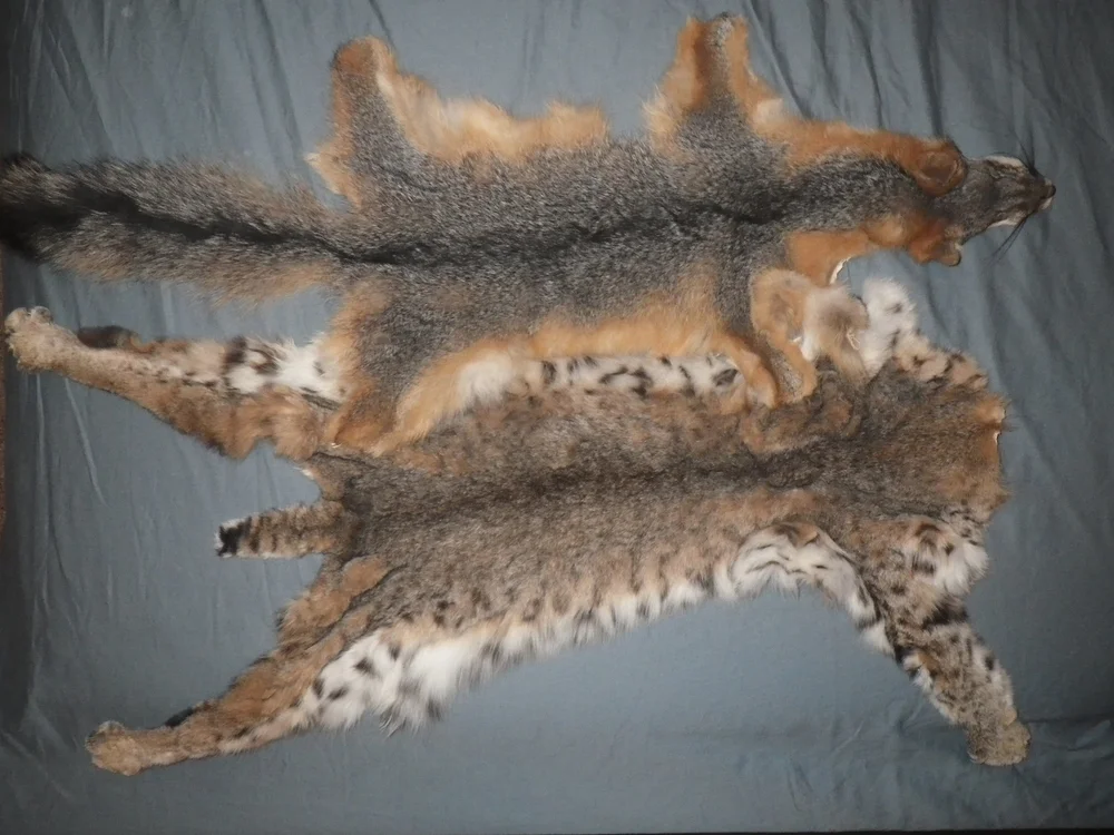 RCG Tips and Tricks- Basics on Tanning Hides — Reel Camo Girl