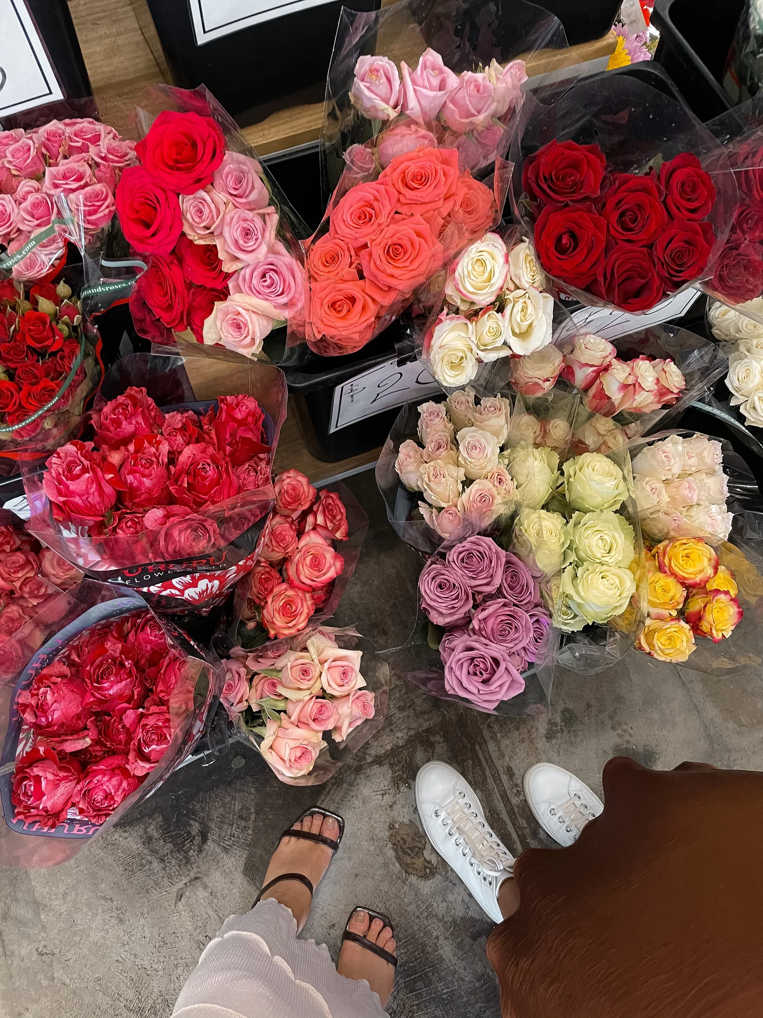 Living my Best Pinterest Life - A Summer Photo Collection — Izzy Wears Blog