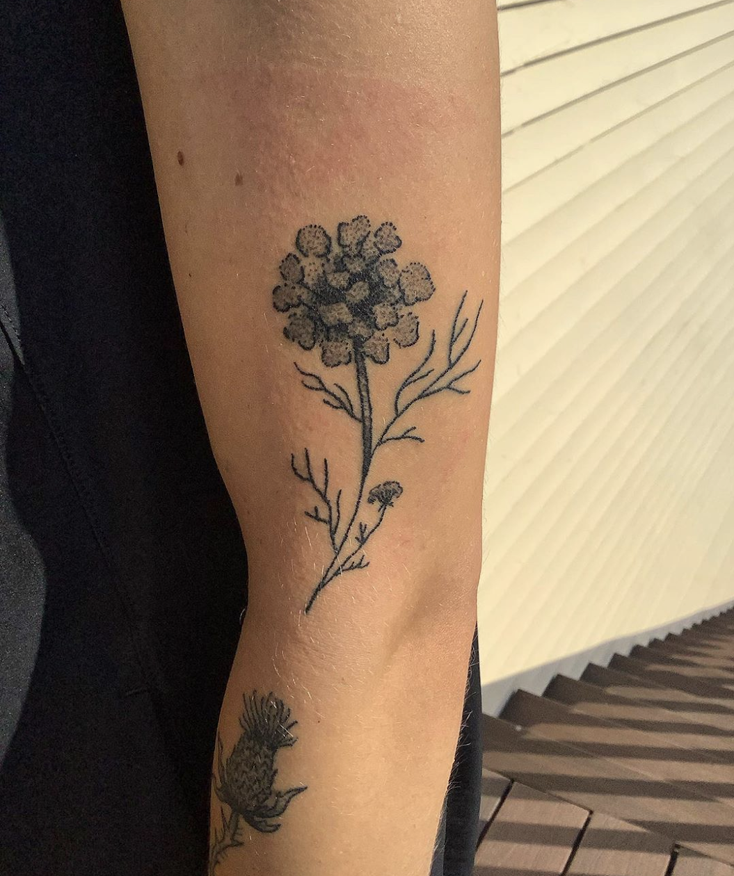 Donovan — PMA Tattoo