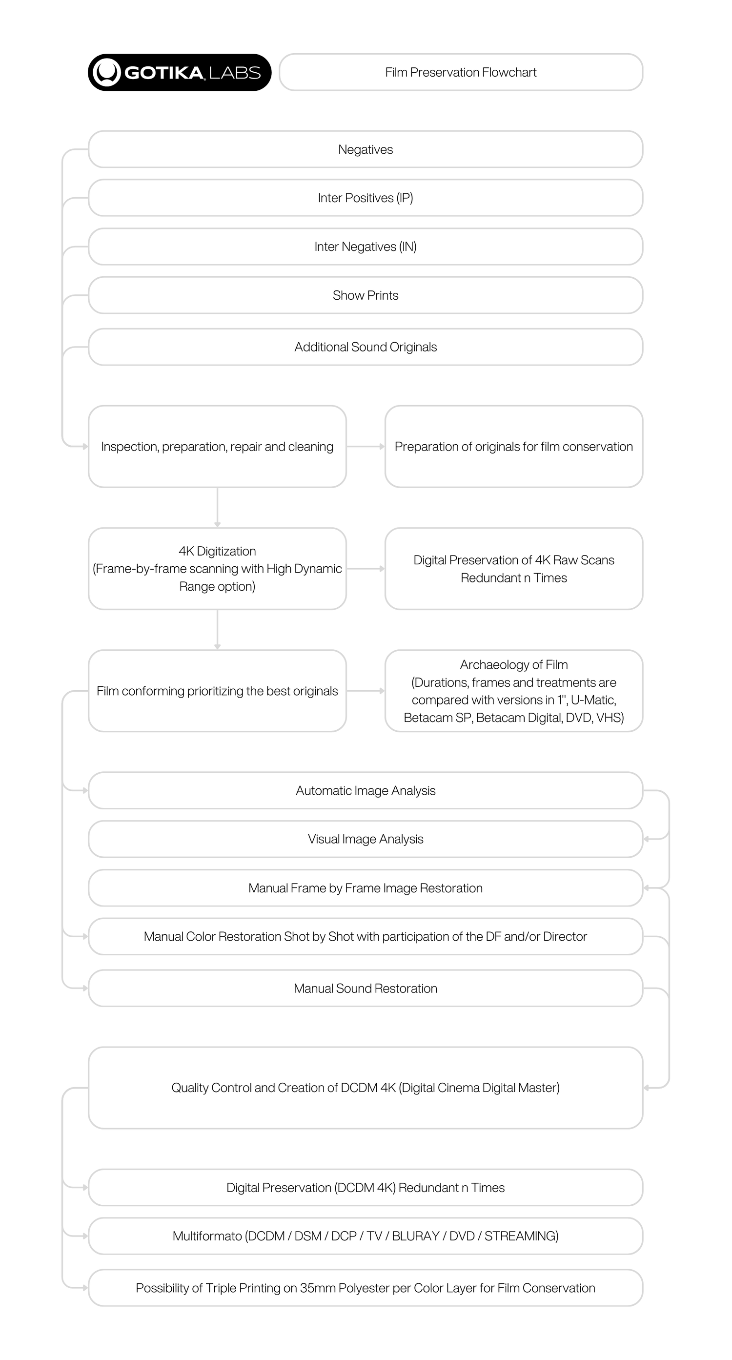 Film Preservation Flowchart | Labs | GOTIKA