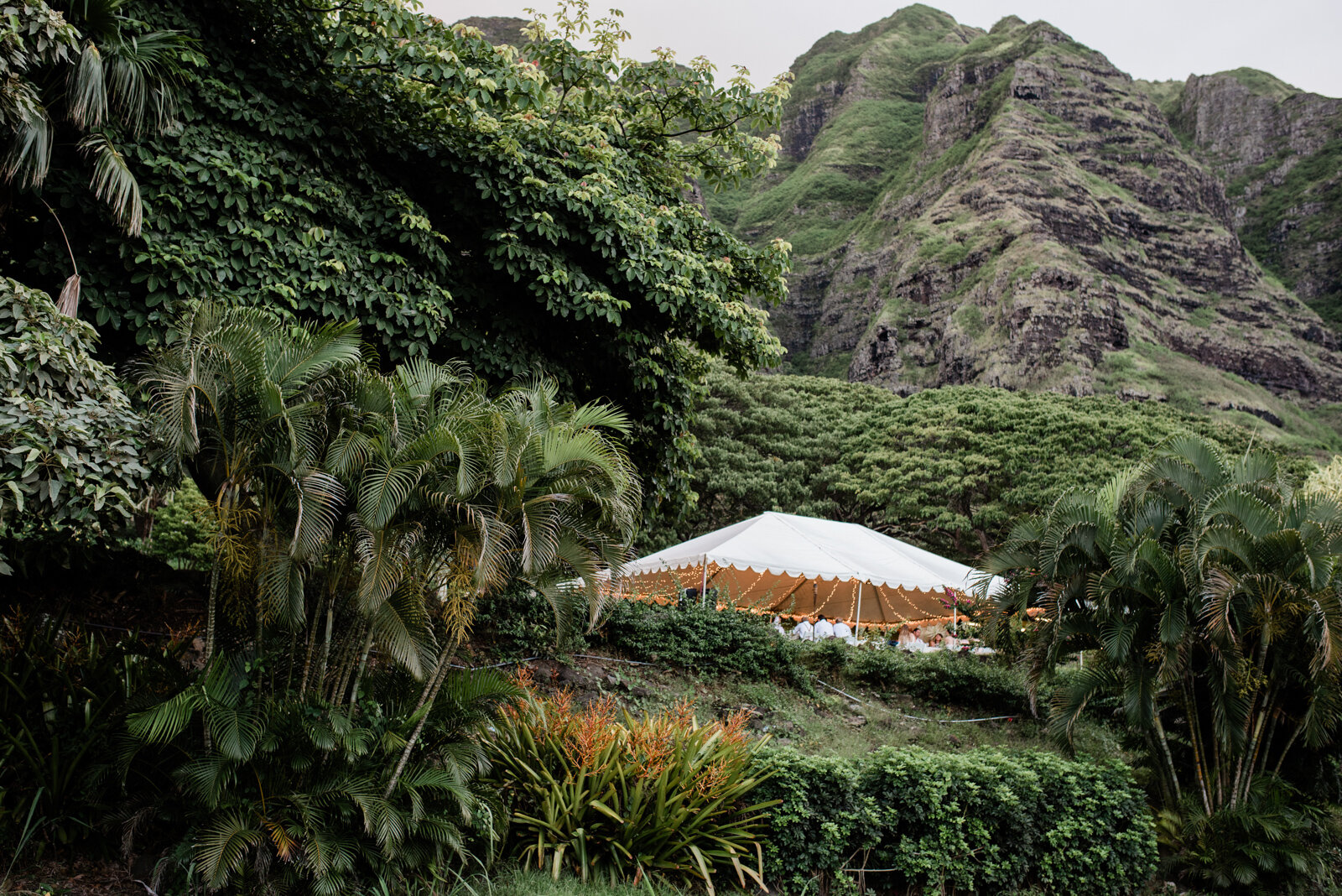 Paliku Gardens Wedding, Kualoa Ranch Hawai'i Photographer — Oahu ...