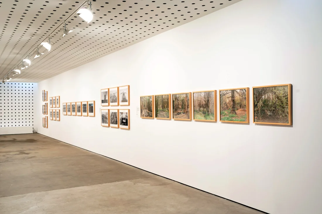 Art Work — Thomas Breakwell