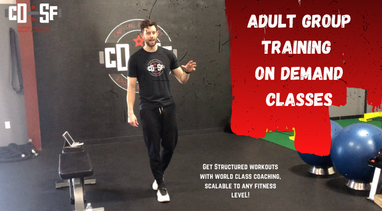 CDSF Online — Mike Sirani- Long-Term Fitness & Exercise Success