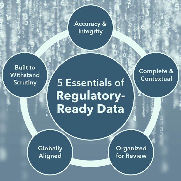 What Does "Regulatory-Ready" Data Look Like? — Nilo Medical Consulting ...