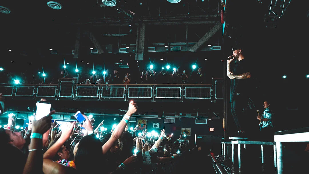 Gallery — Common Kings