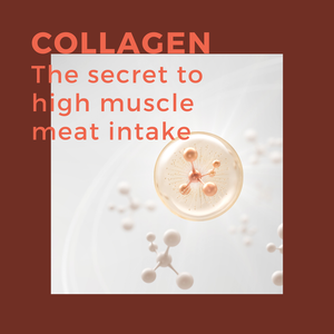 Blog — Doctor Verena