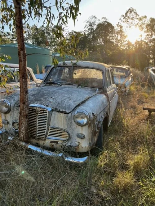 Paddock full of old cars — Austin Motor Vehicle Club of Queensland (Inc.)