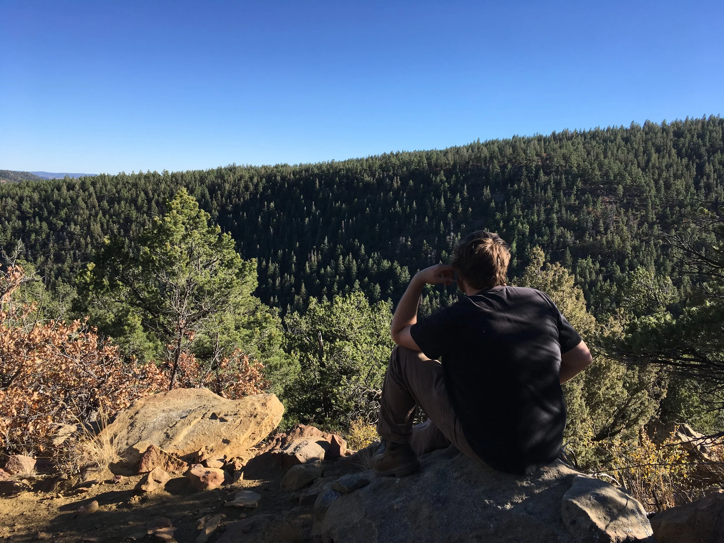 Indigenous Roots LLC Indigenous Roots LLC