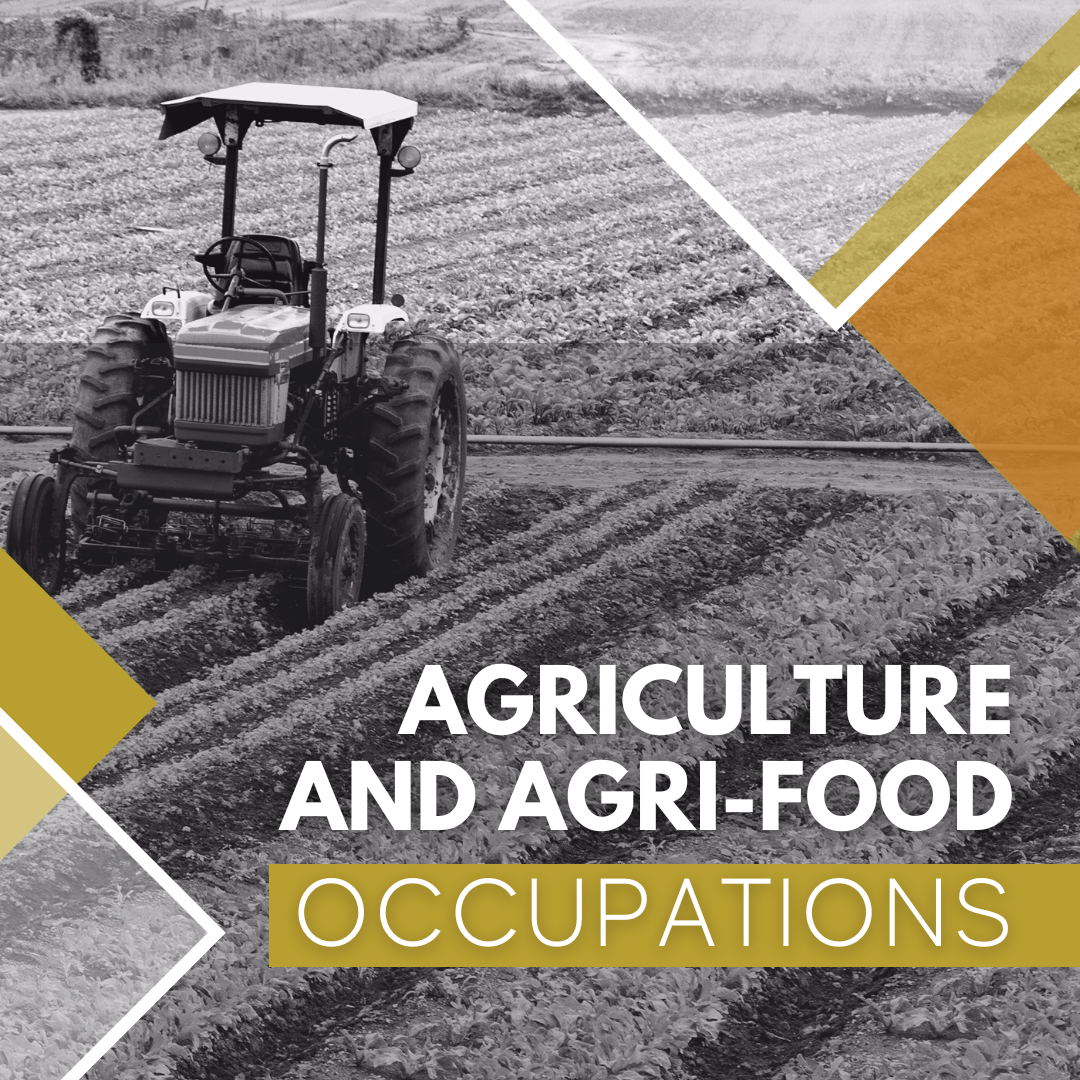 CATEGORY-BASED SELECTION — Global Opportunities