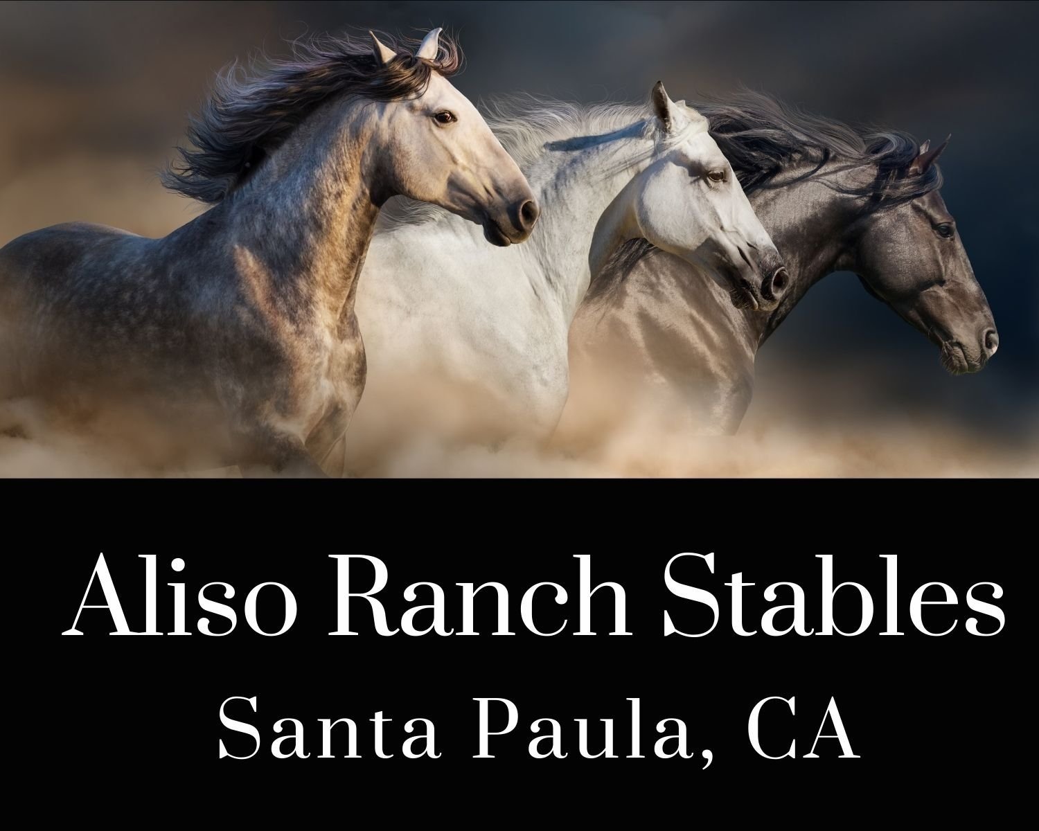 Aliso Ranch Stables