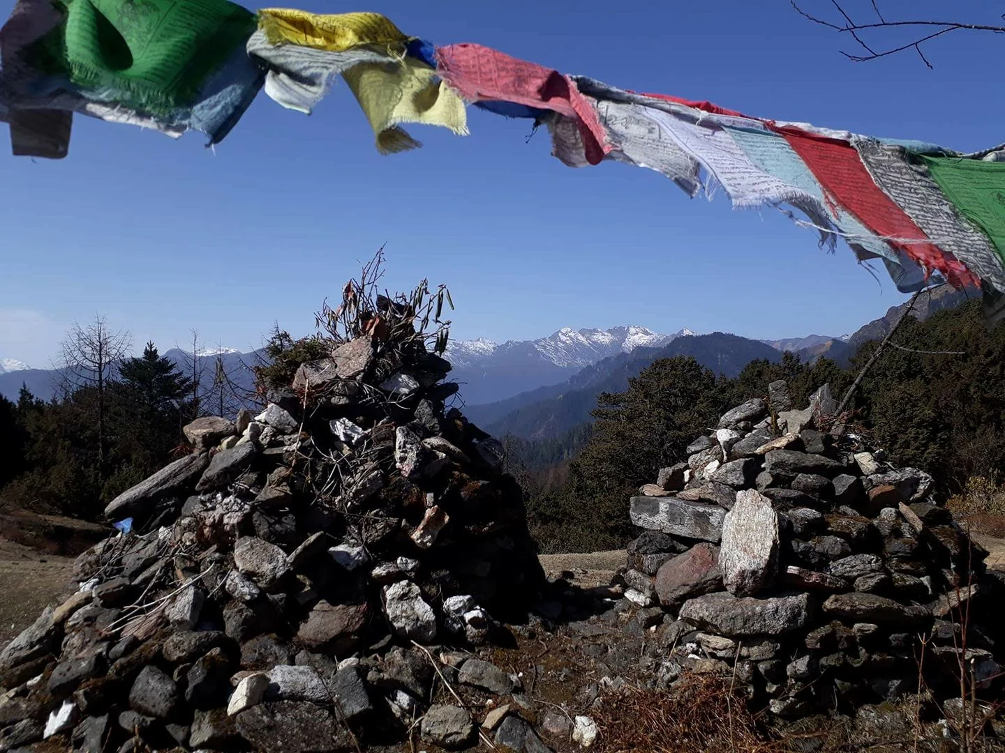 When's the Best Time to Visit Bhutan? | Beyond the Clouds