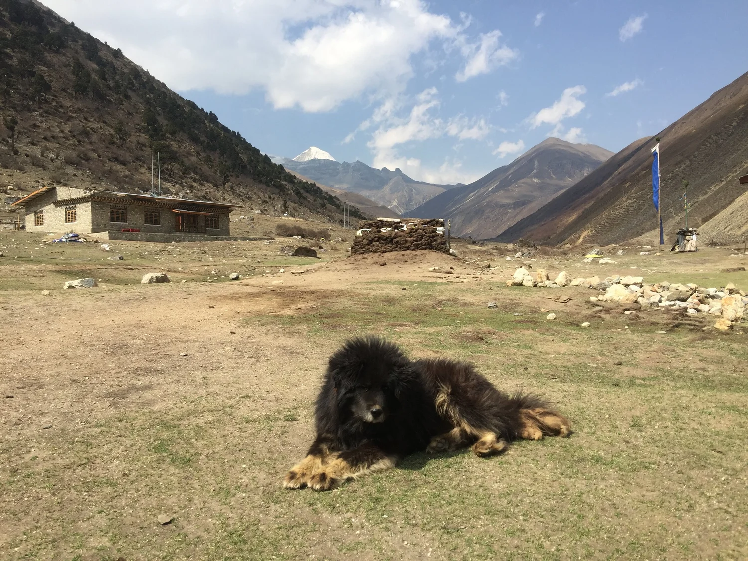 Jomolhari Loop Trek Tour | 8 nights in Bhutan | Beyond the Clouds