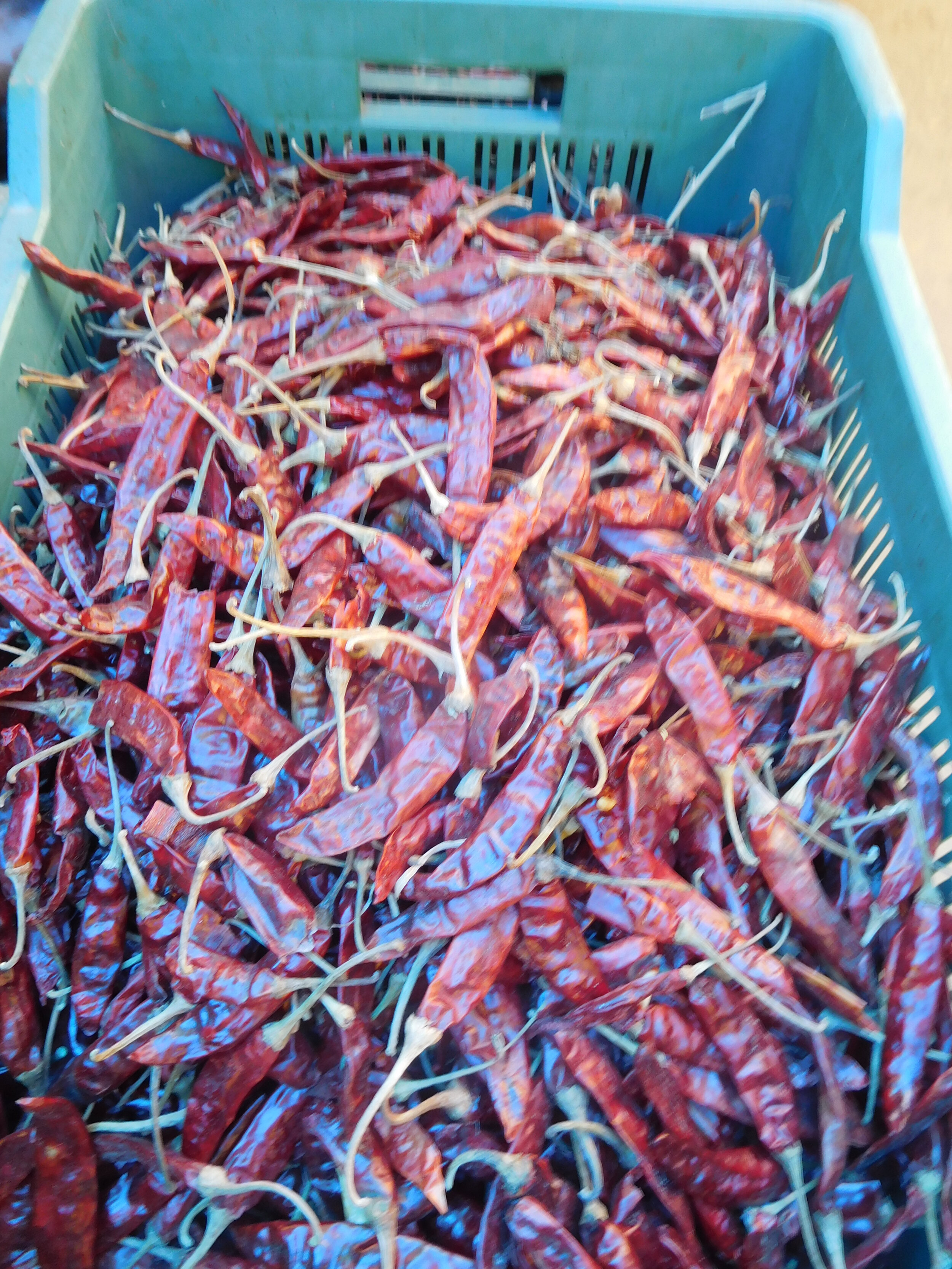 What is the food like in Bhutan? Savouring Bhutan's culinary delights ...