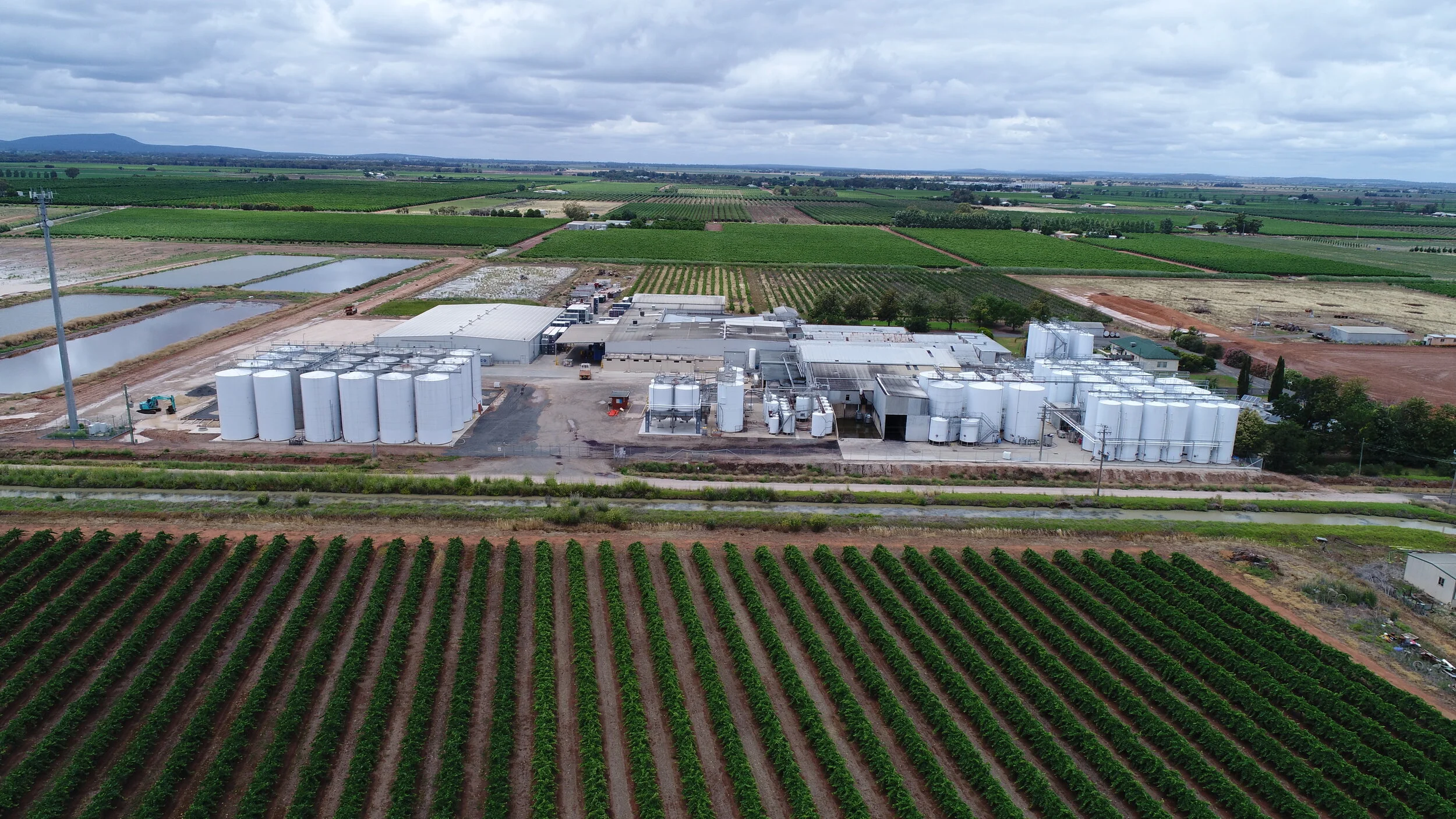 Careers with Dee Vine Estate — Dee Vine Estate