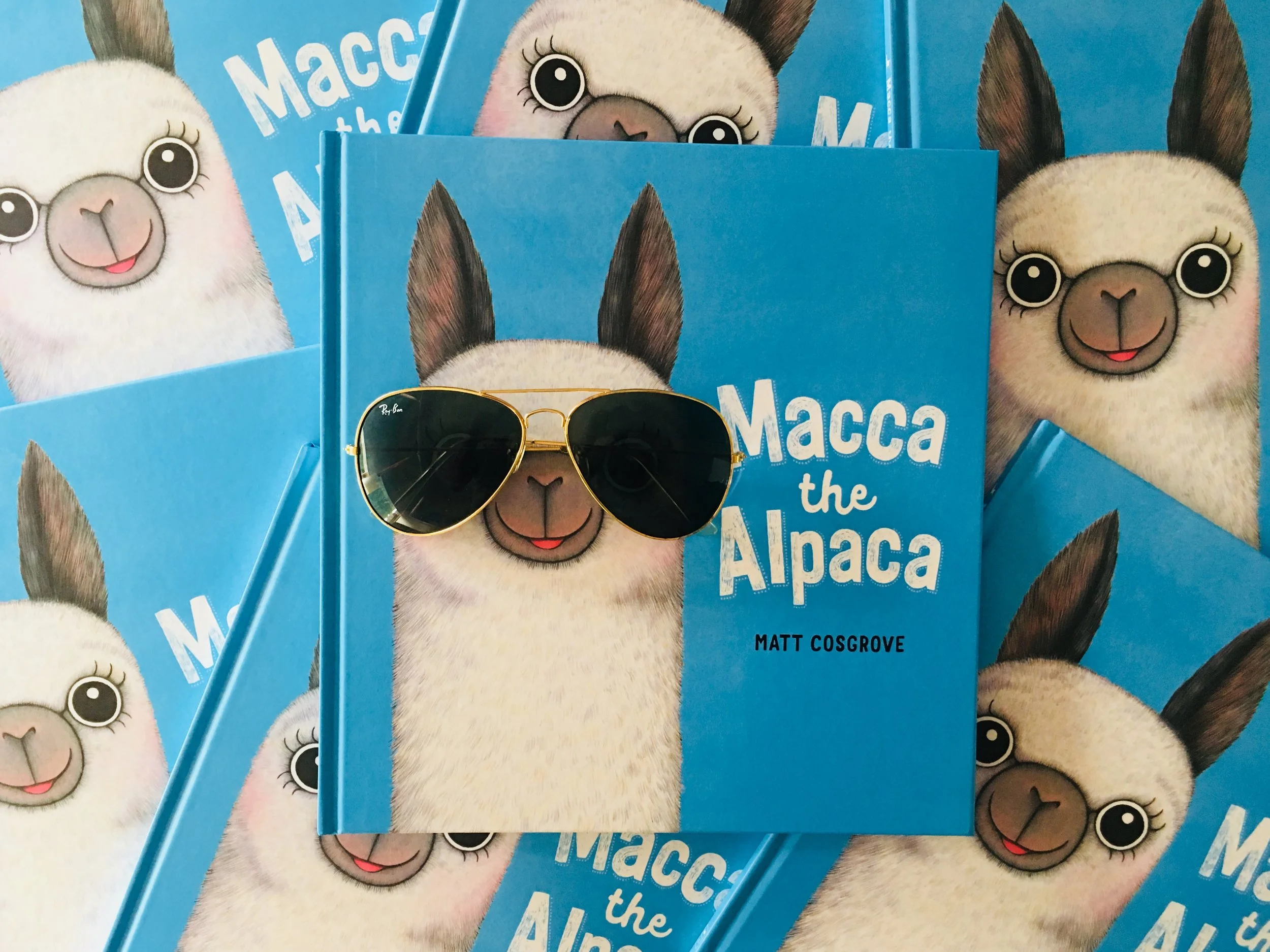 Macca The Alpaca — News — Matt Cosgrove