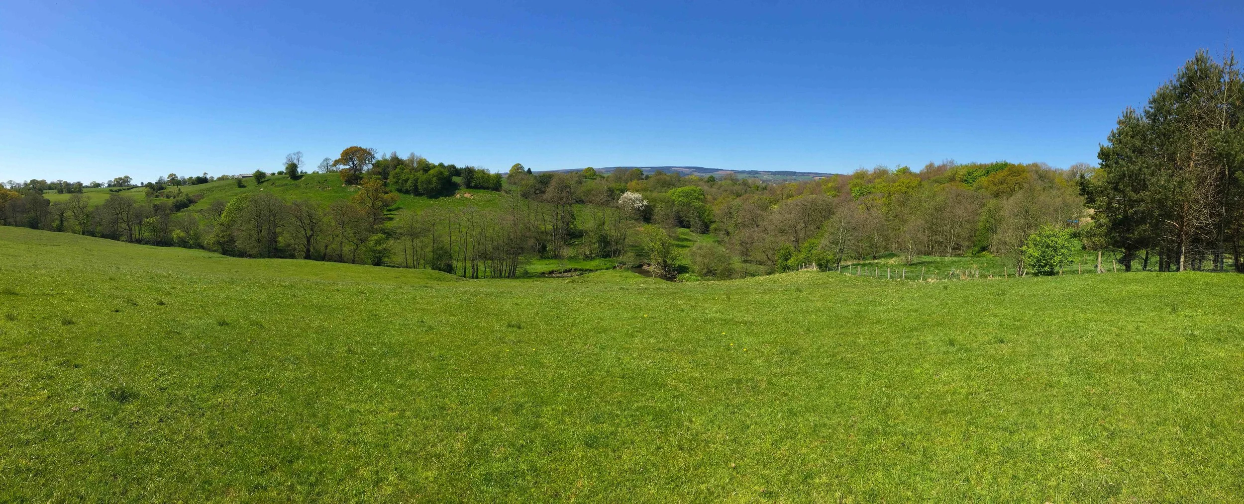 Introducing our new style Luxury Lodges — Ribble Valley View