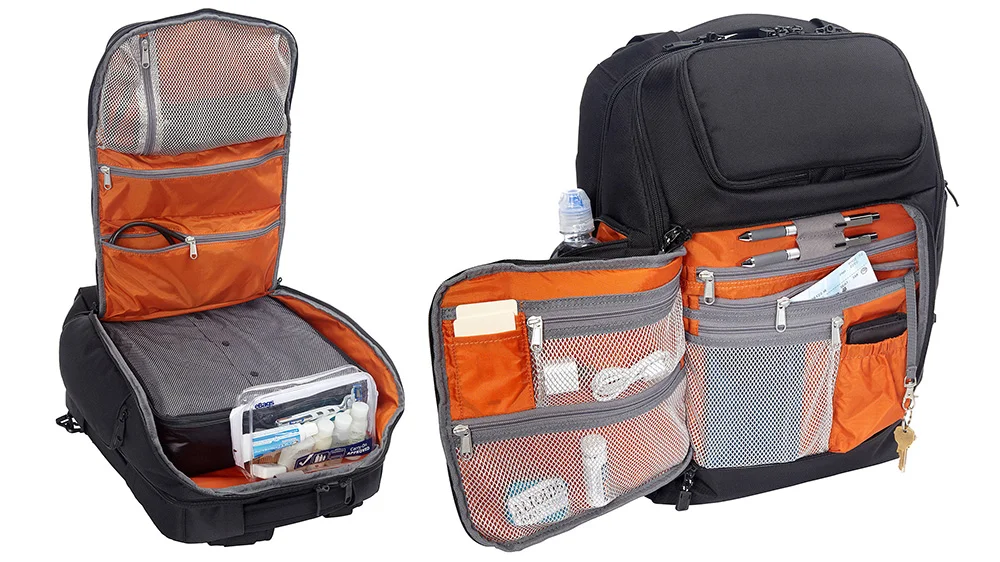 eBags Professional Flight Laptop Backpack | Backpackies