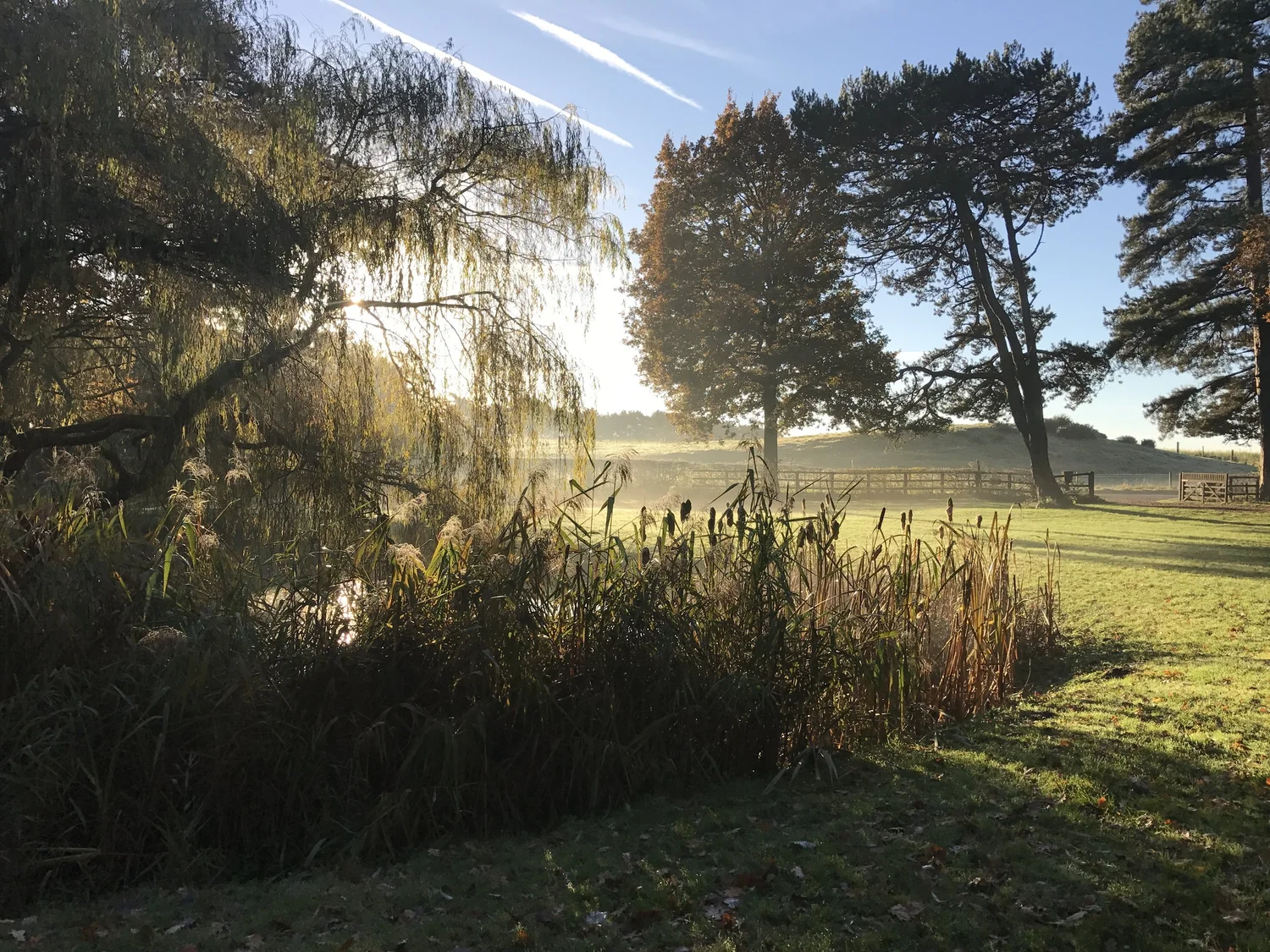 Glamping Retreat and Licensed Wedding Venue — Happy Valley Norfolk