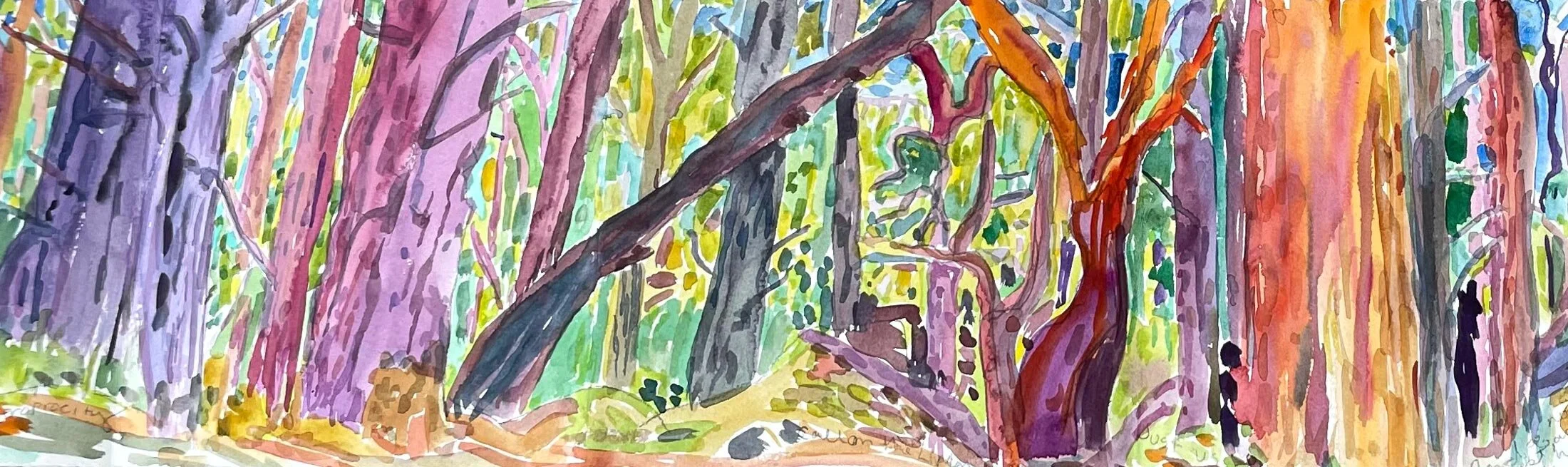 Elizabeth Murray Studios – Elizabeth Murray Studios