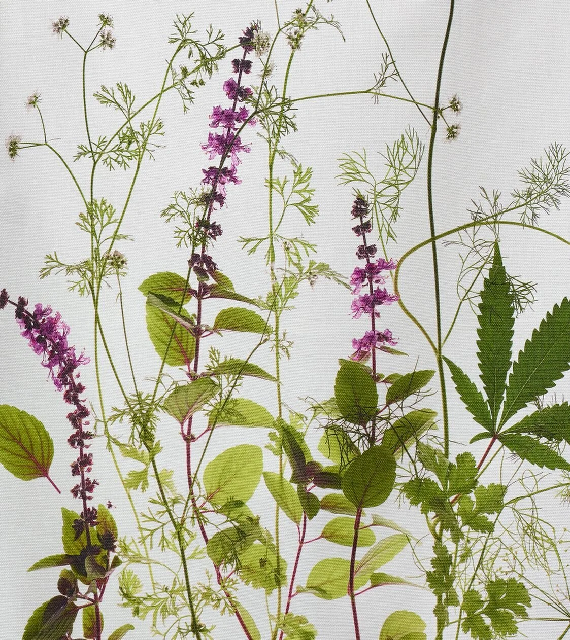 Comet Cloth – Kitchen Aprons, Tea Towels, and Cloths with Fun, Fresh ...