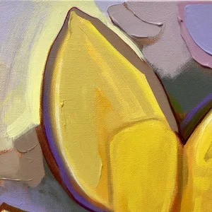 The Netflix Project — Sarah Houle