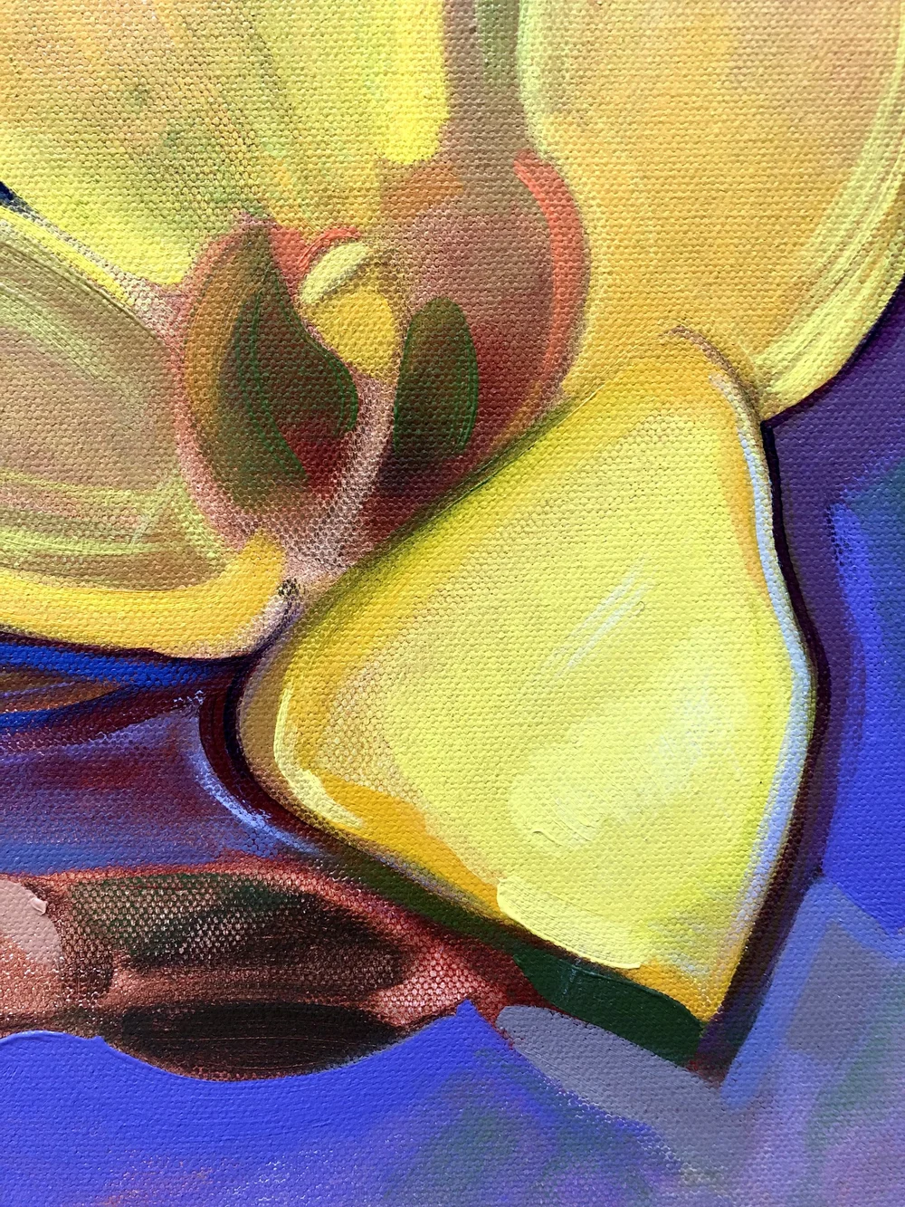 The Netflix Project — Sarah Houle