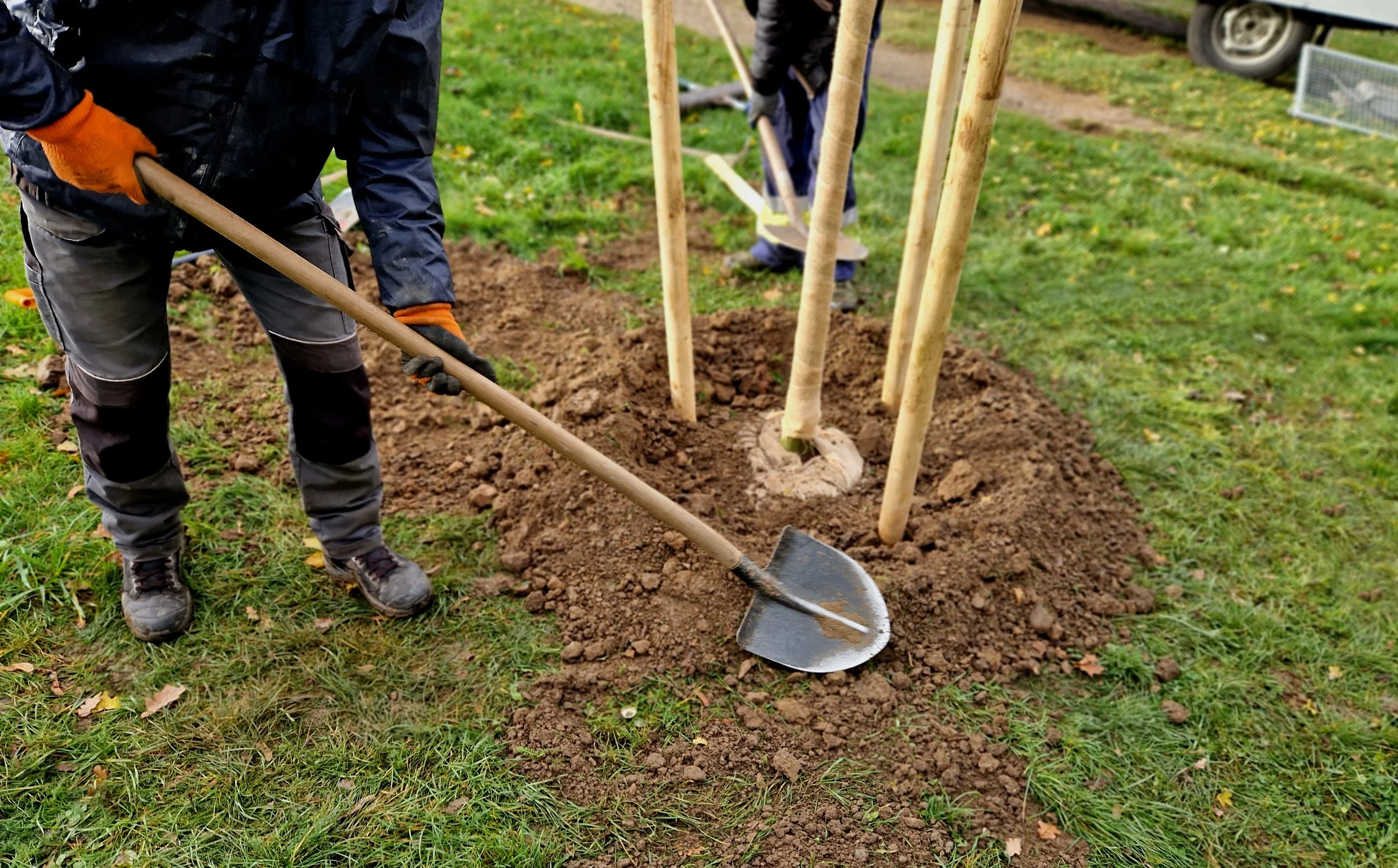 General Liability Classification for Tree Care Contractors: Ground Work ...