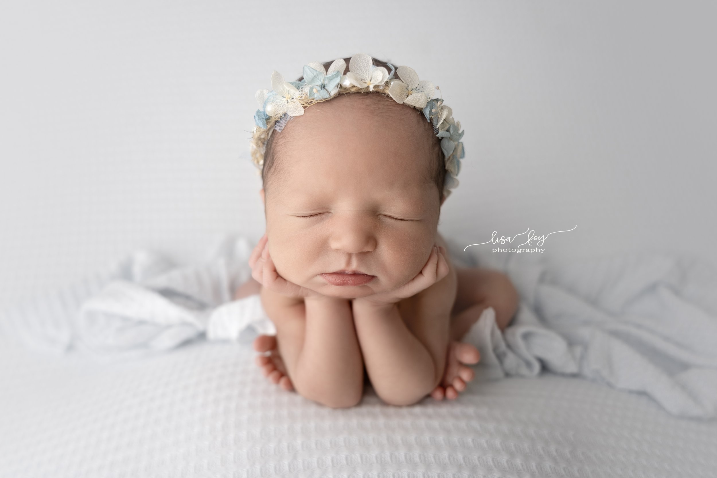 Lisa Foy Photography