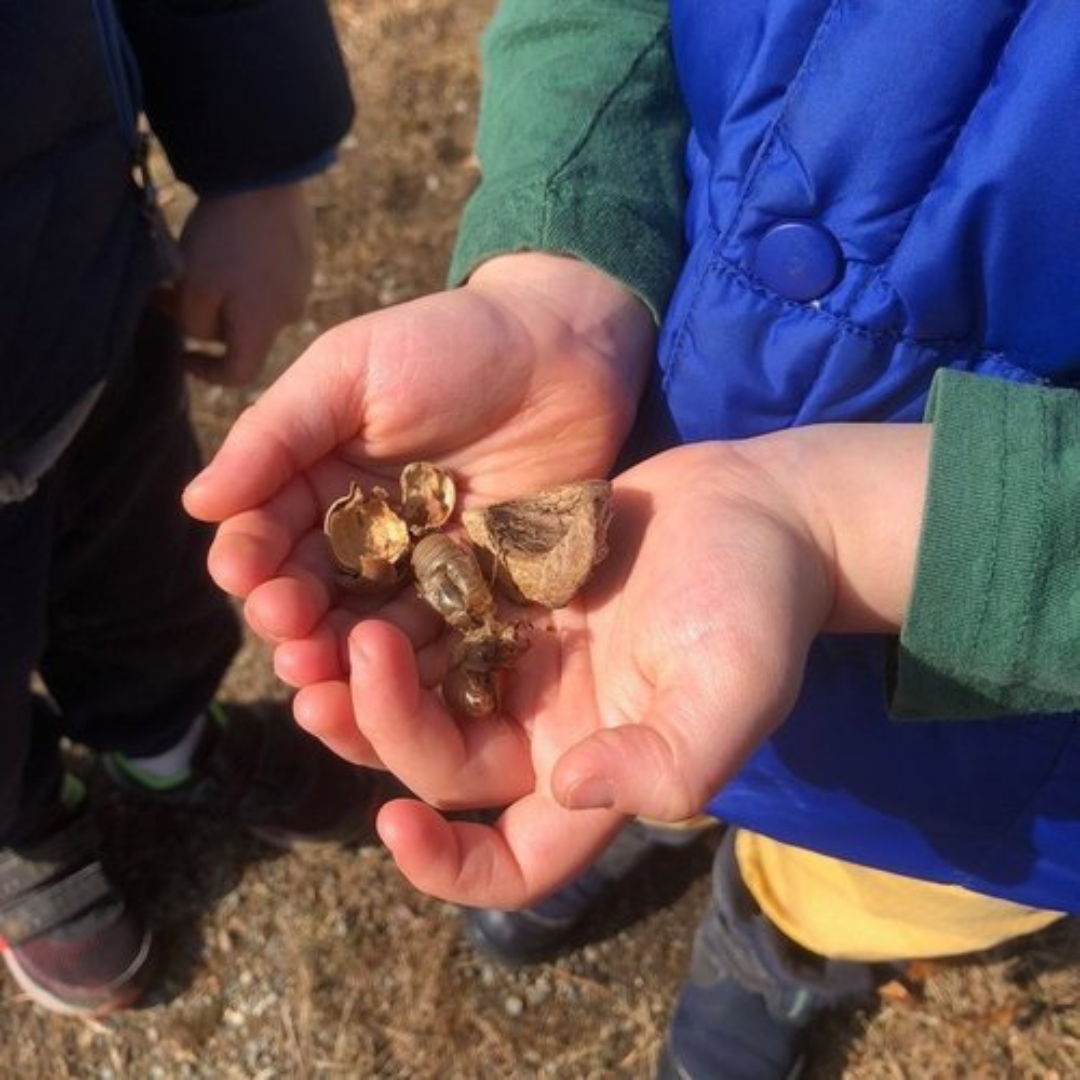 Vacation Programs — PUDDLESTOMPERS™