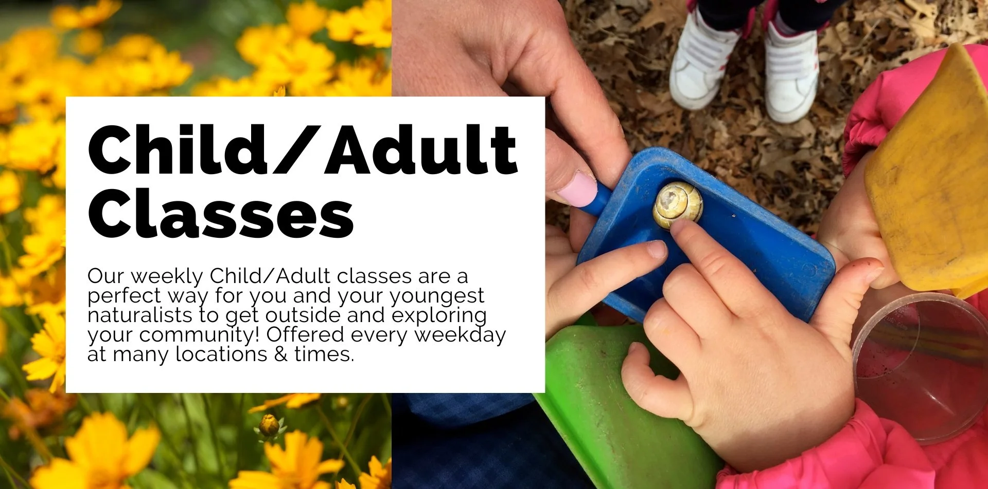 Programs — PUDDLESTOMPERS™