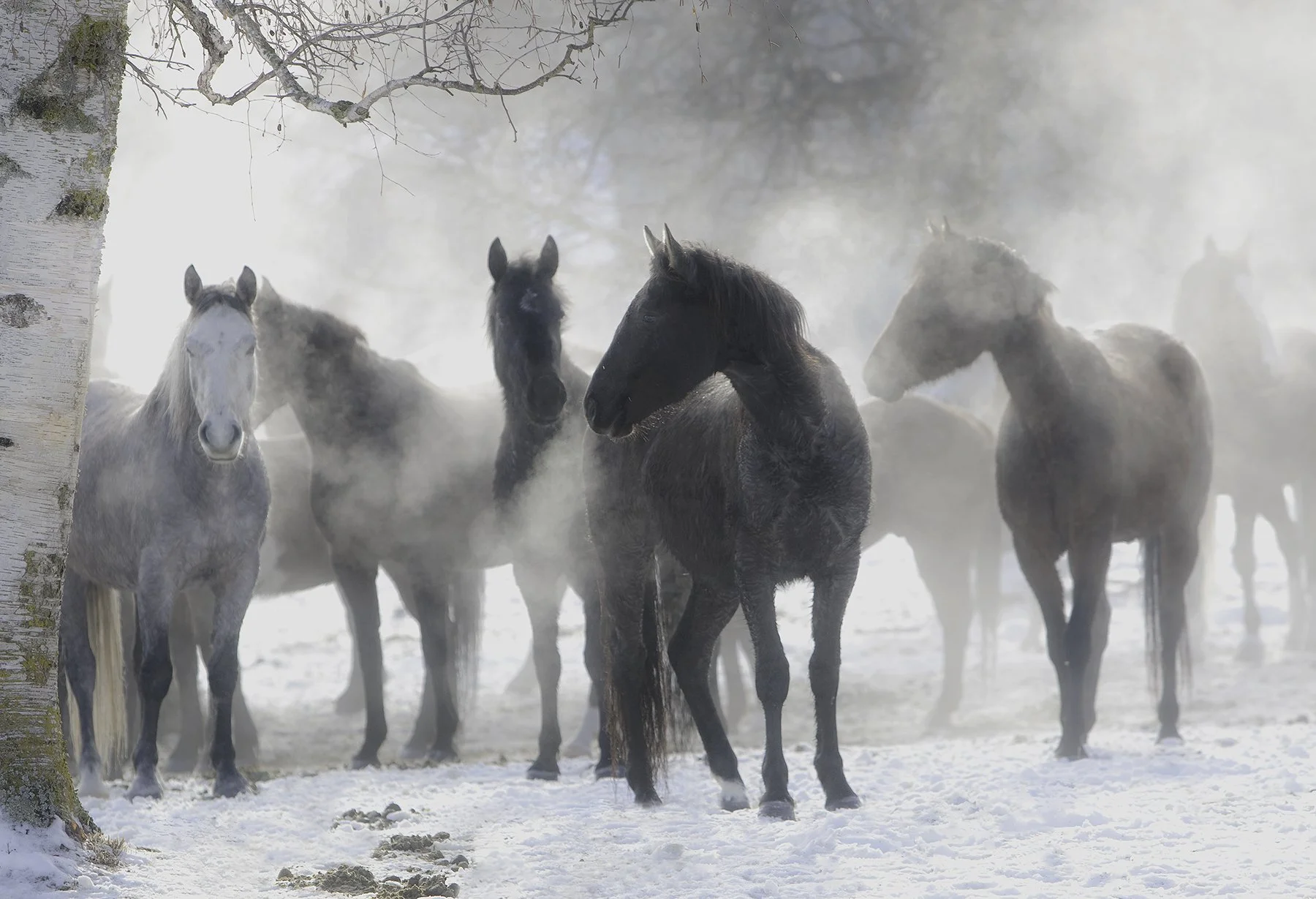 CREATE PC — Arts Council Park City + Summit County