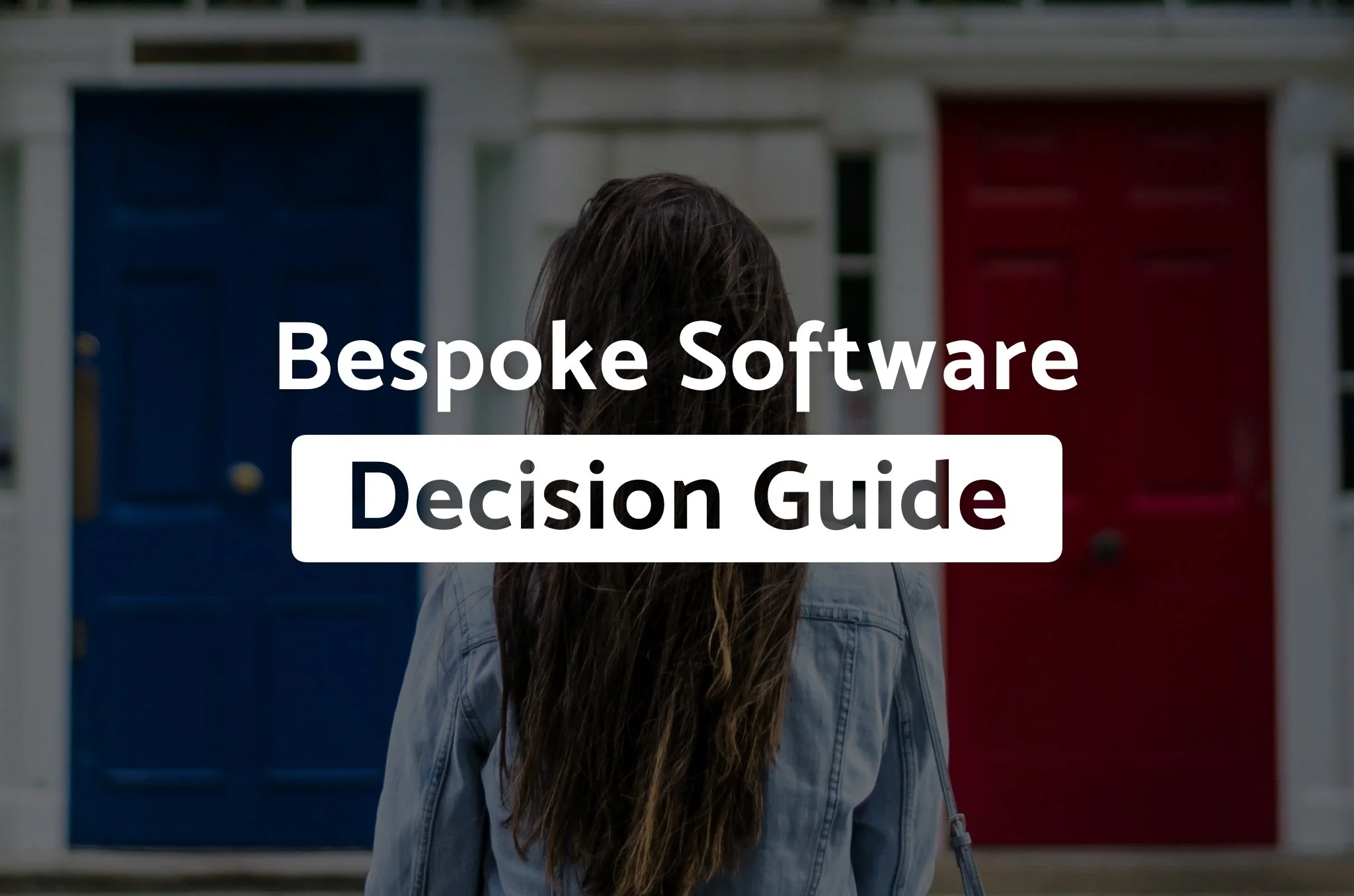 Bespoke Software Decision Guide | Expert Analysis — molfar.io