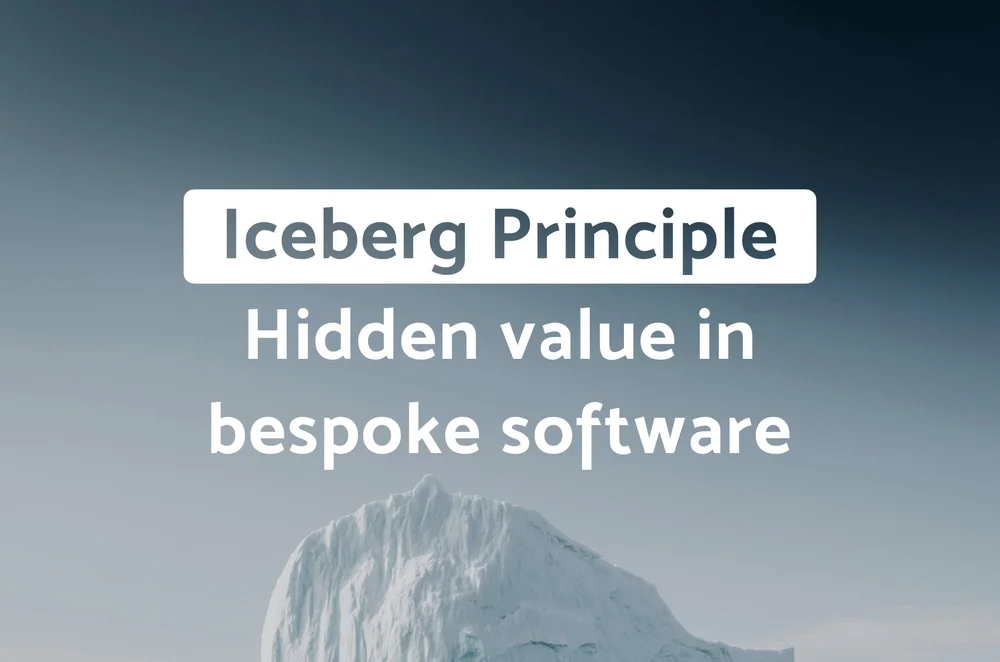Hidden Value in Bespoke Software | ROI Maximization Guide — molfar.io