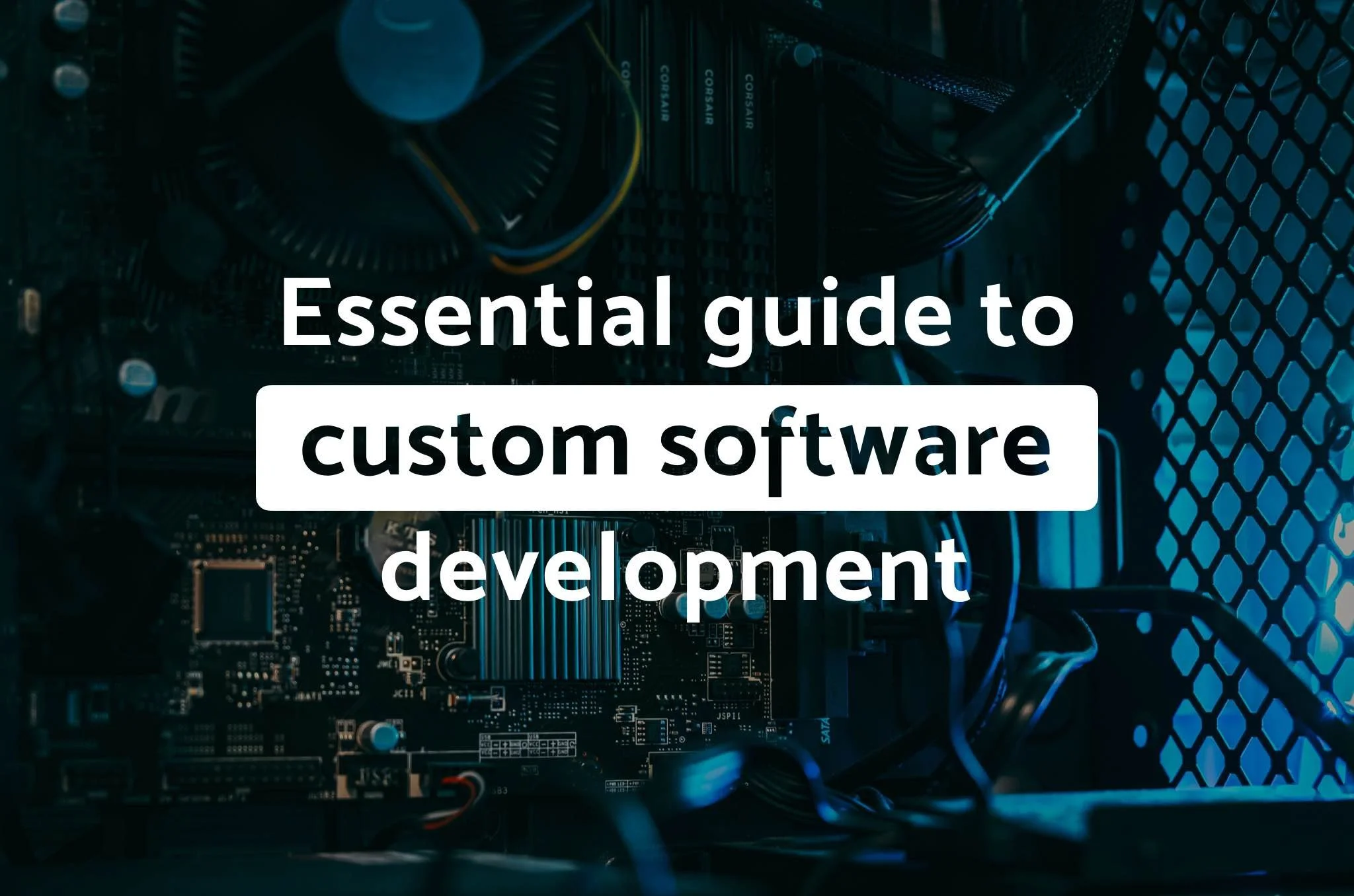 Custom Software Development Solutions Guide 2024 — molfar.io
