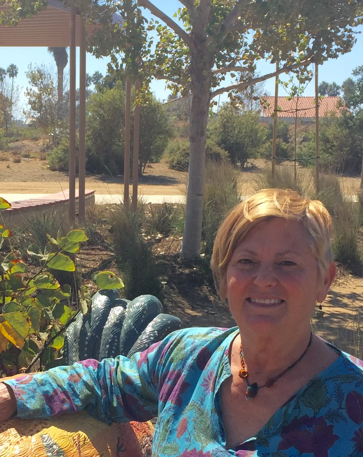 About — Pacific Palisades Art Association