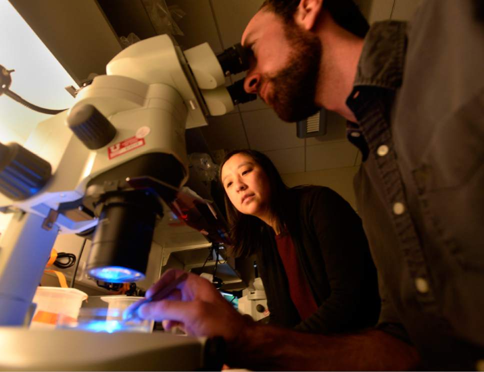 Research — Kwan Lab