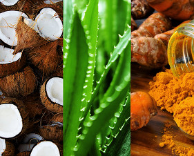 Produce — RAINBOW ACRES Natural Foods