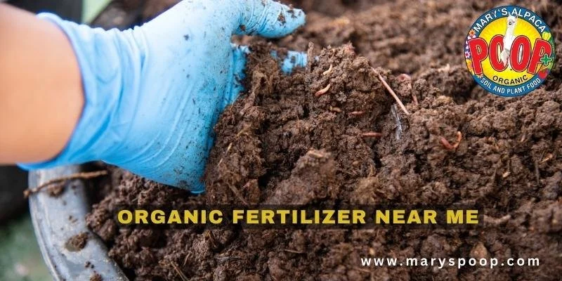 Get the Most Out of Your Exotic Plants: The Miracle Of Alpaca Poop