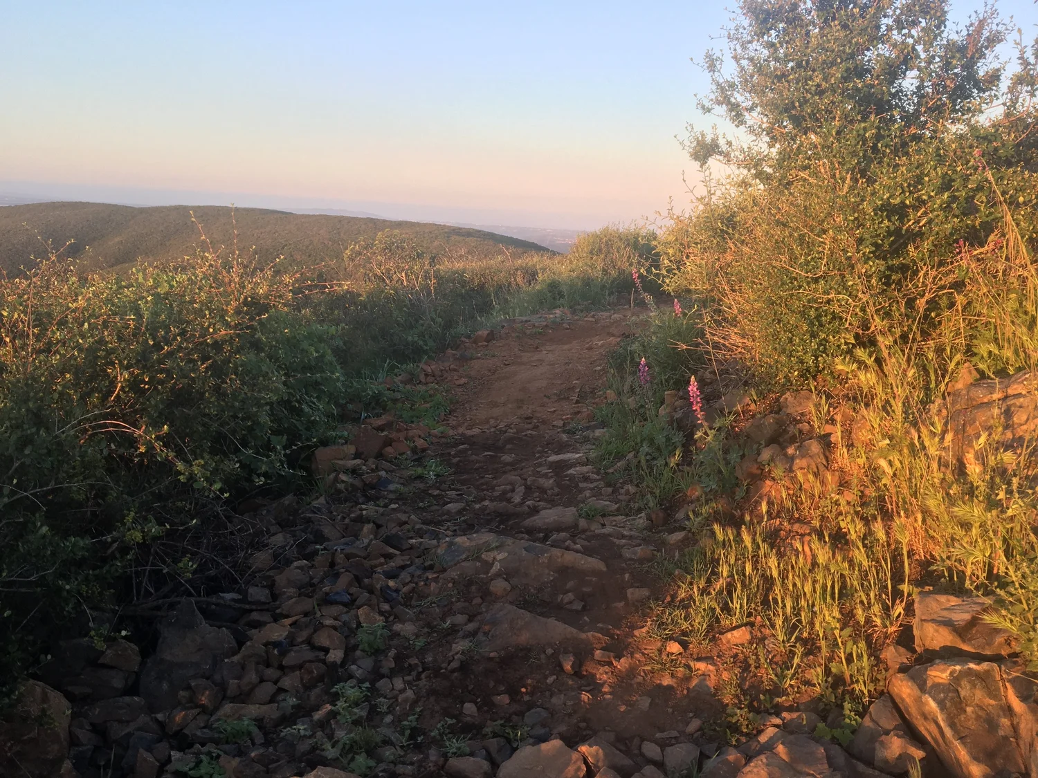 25k — Black Mountain Trail Races 50K/25K/Half