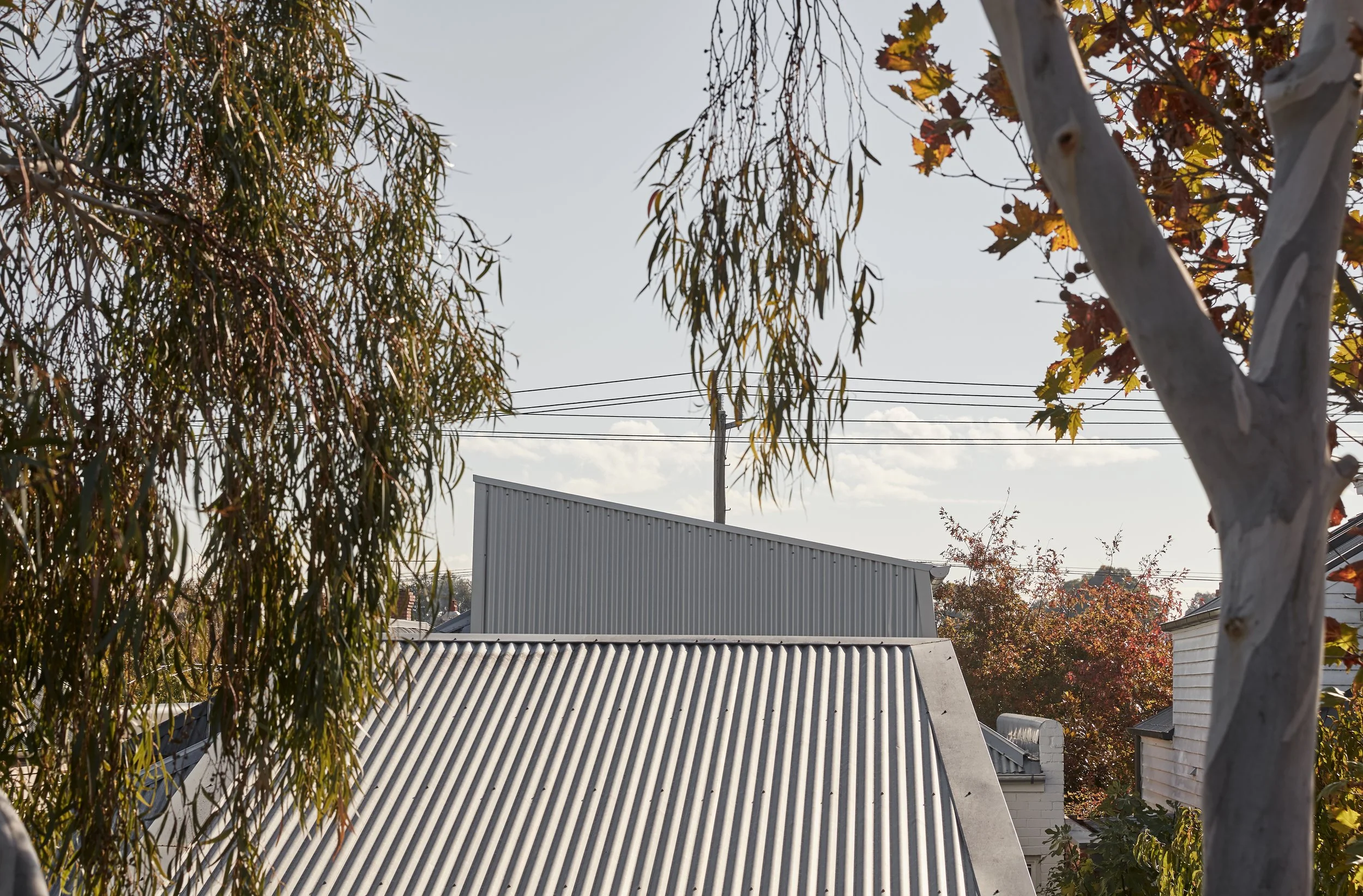 Holey Zinc! — Pop Architecture